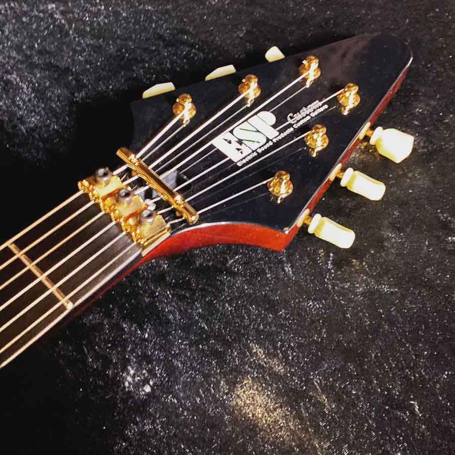 Guitar Doctors File - ESP Technical House