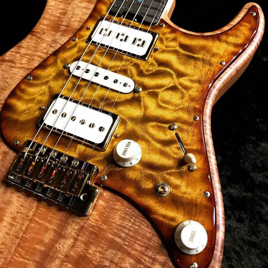 Guitar Doctors File - ESP Technical House