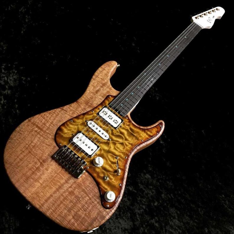 Guitar Doctors File - ESP Technical House