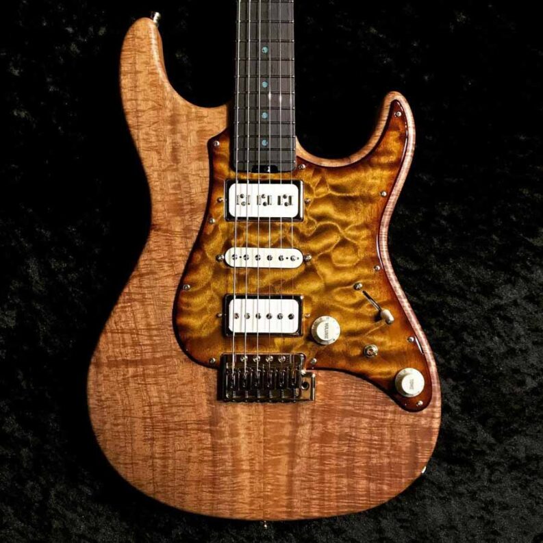 Guitar Doctors File - ESP Technical House