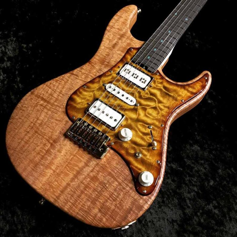 Guitar Doctors File - ESP Technical House